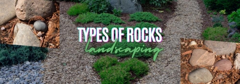 Landscaping with Rock instead of Mulch