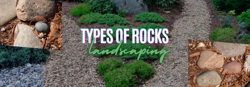Landscaping with Rock instead of Mulch
