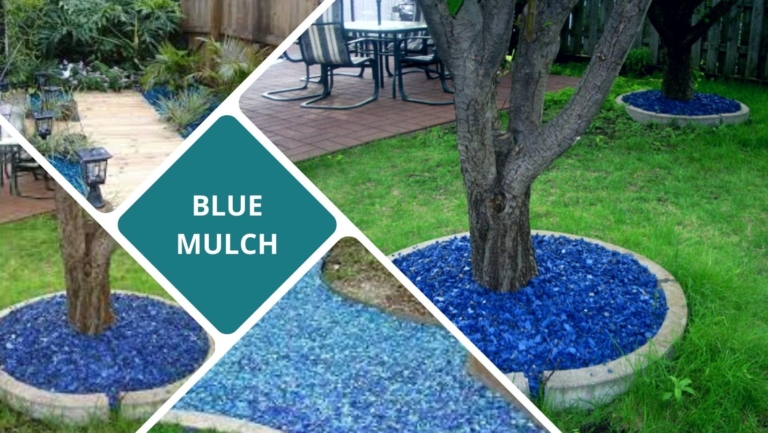 What Is Blue Mulch?